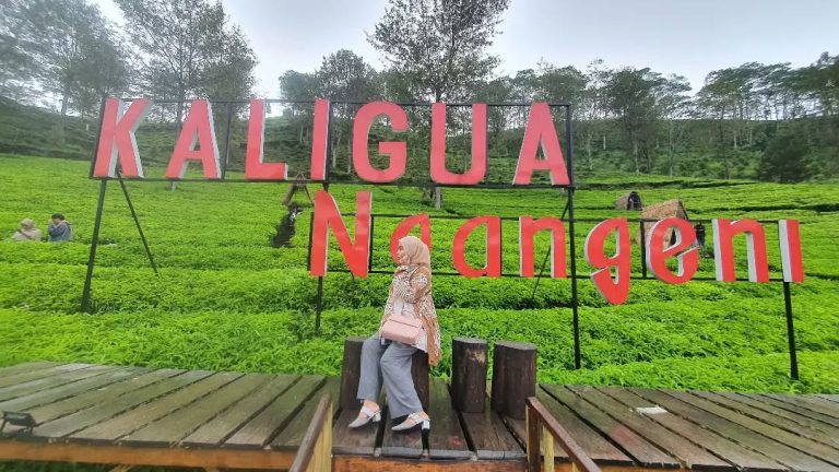 10 Tempat Wisata Di Brebes Yang Populer 2025 BREBES.NET